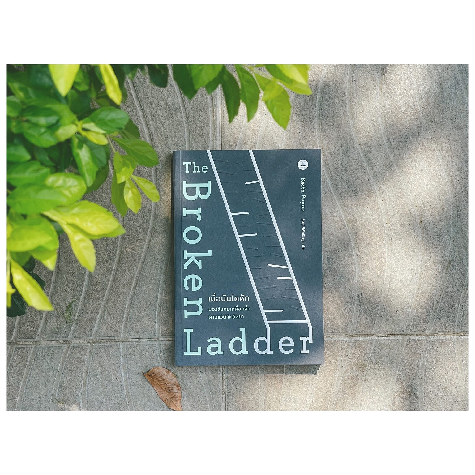 The Broken Ladder (เมื่อบันไดหัก) - SOPON’S BLOG